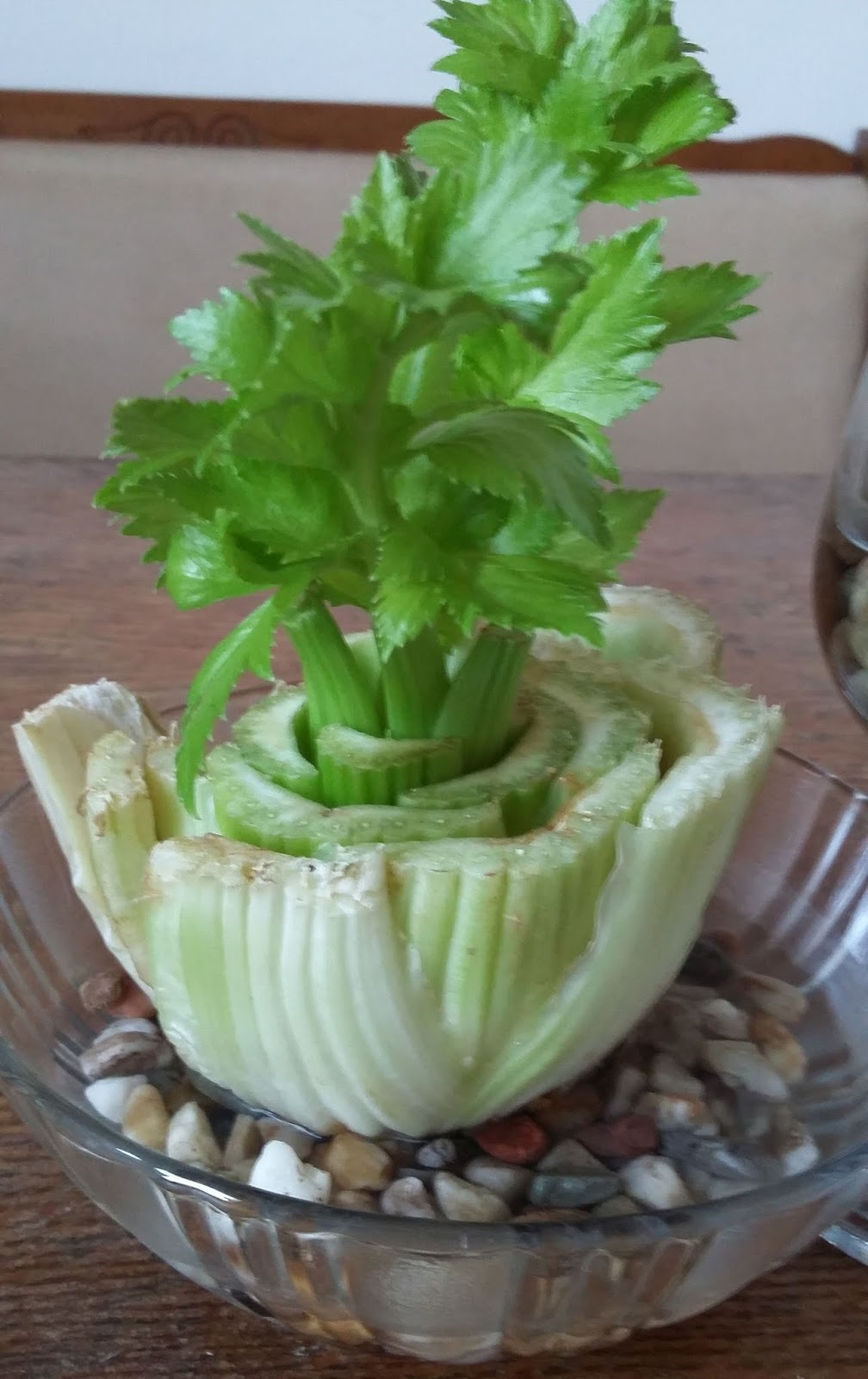 cele patru anotimpuri: Țelină (apio)