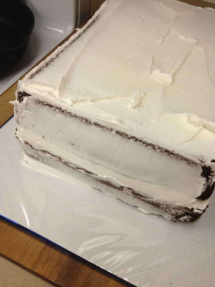 Pitcher Family Adventures: Cake Decorating!