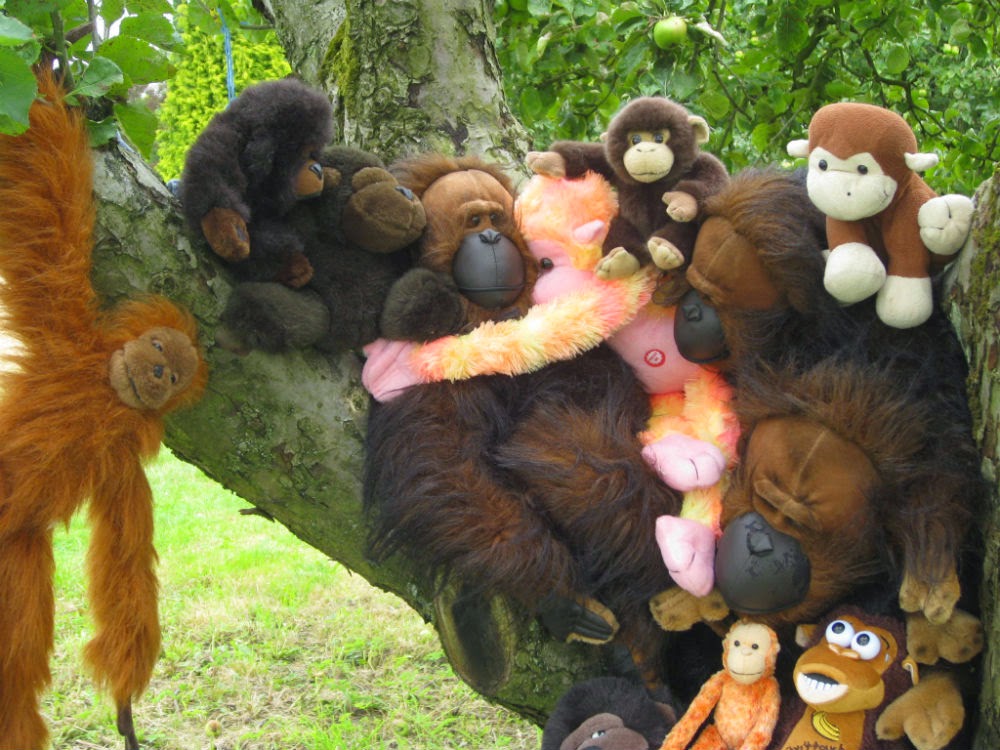 The Orchard Tea Room & Farm Shop: A Monkey Hunt in the Orchard