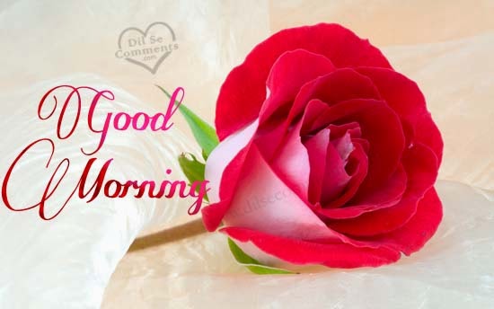 gd morning wallpapers ~ HD Wallpapers Blast