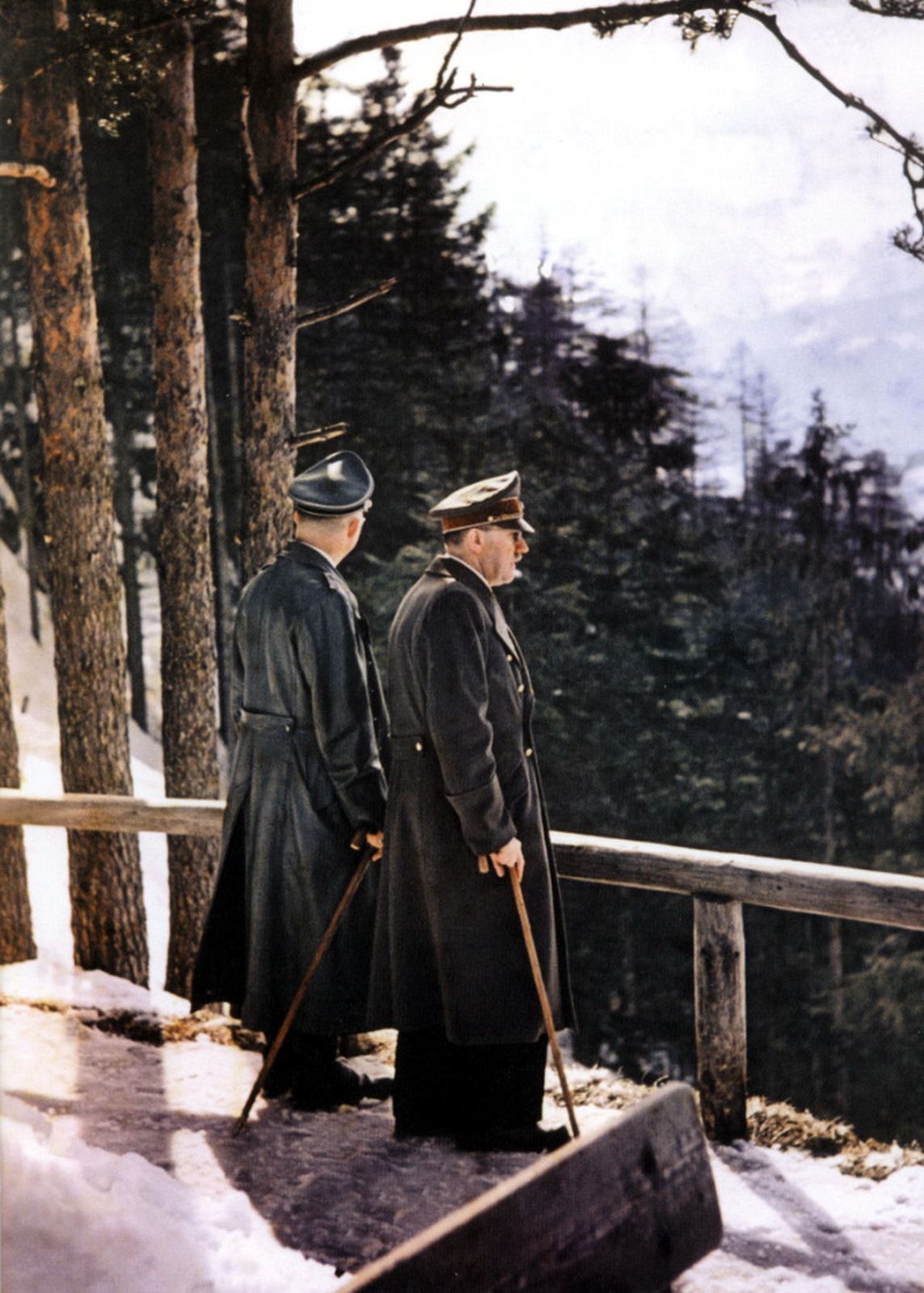 Heinrich Himmler Color