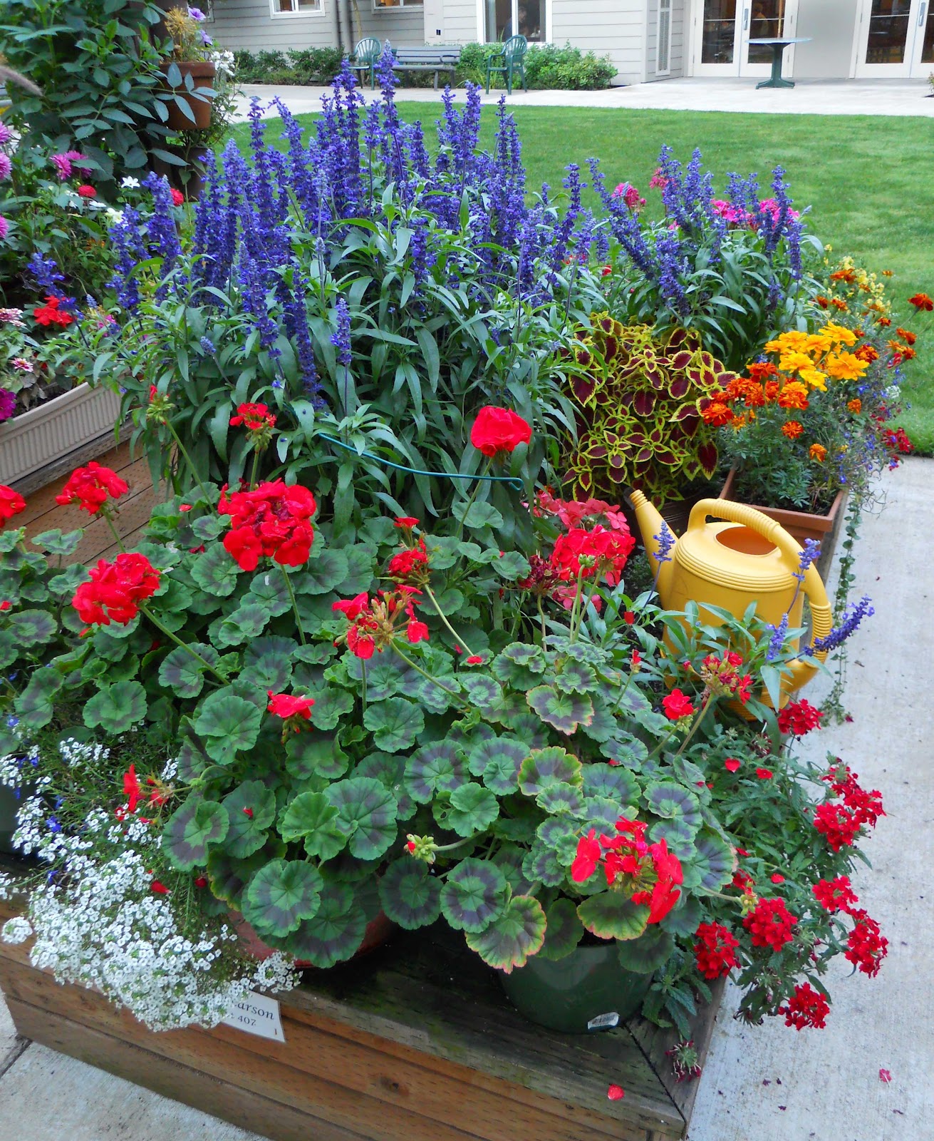 Beech Street Gardens: Next Up Is Pat's Flower Bed