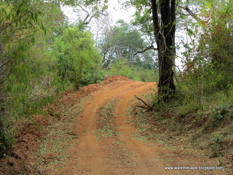 Walking the Cape: Lower Zambezi: Chongwe Falls
