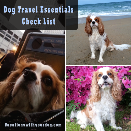 Dog Travel Essentials Check List, Travel Supplies For Dogs