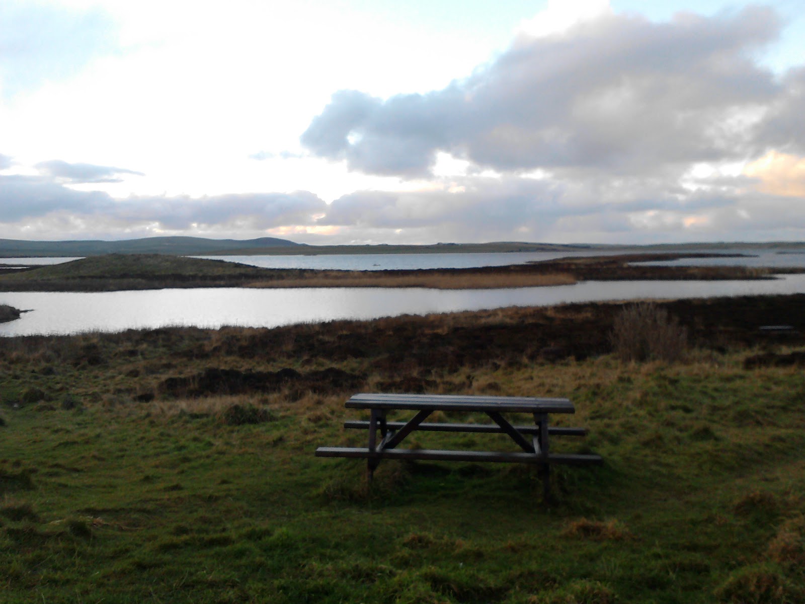 The wind and the wellies: Loch Harray, Orkney and the black swan