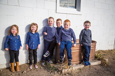 Insights and Sounds: The Littles