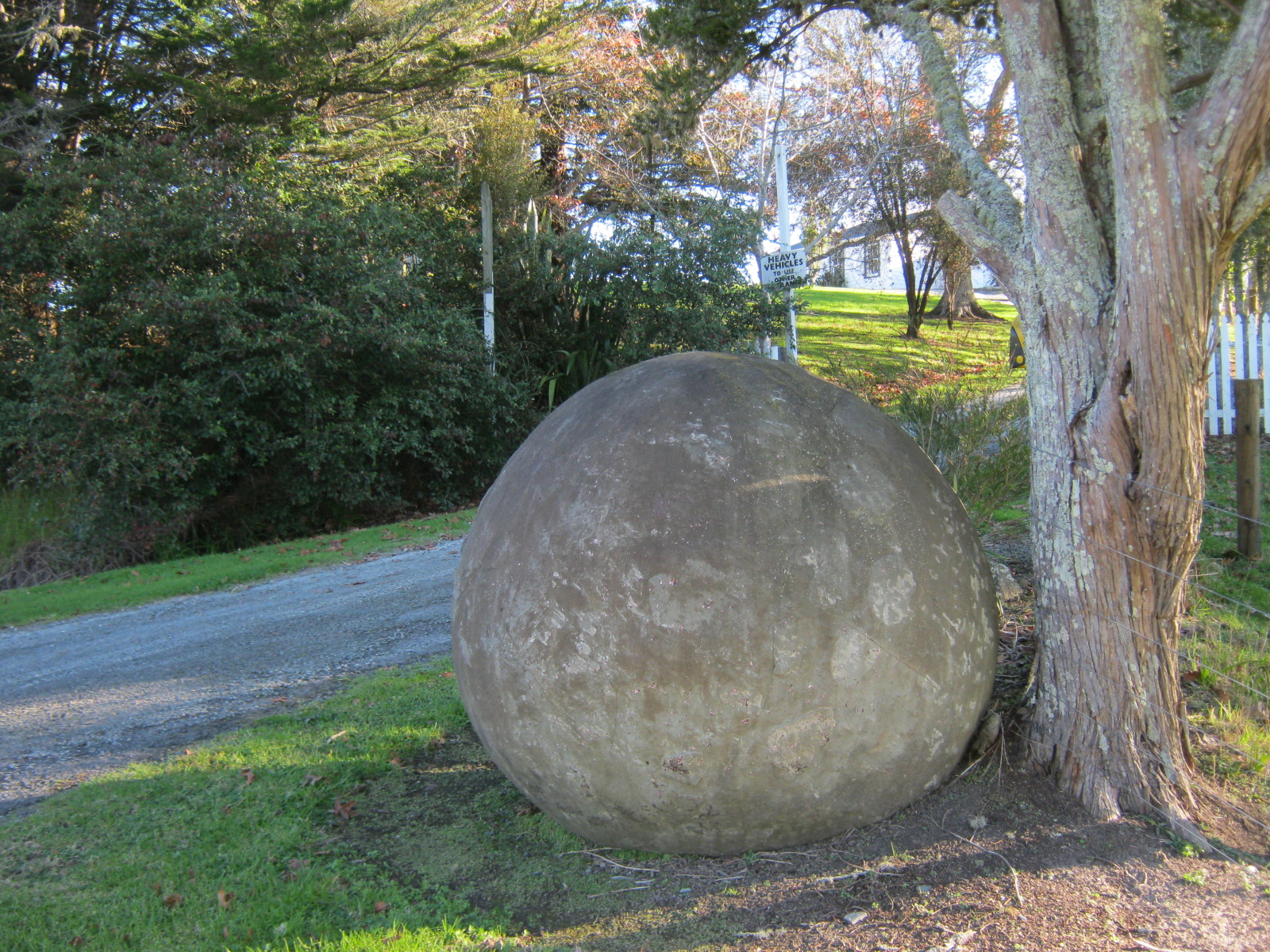 Round the Rocks: Curious New Zealand Concretions
