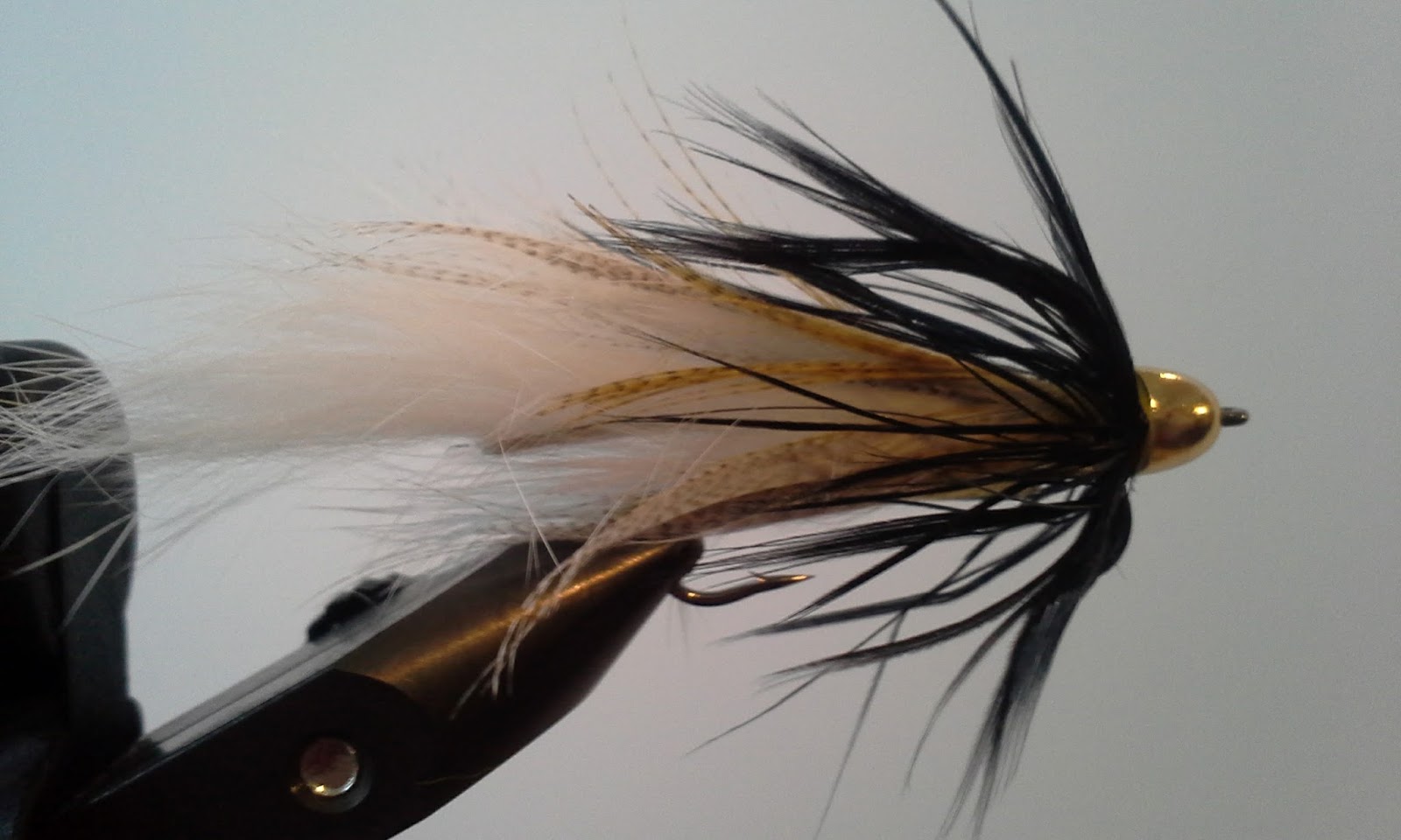 The Show Me Fly Guy: The Falcon