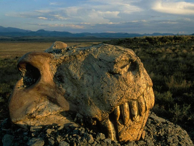 What Caused the World's Greatest Extinction?