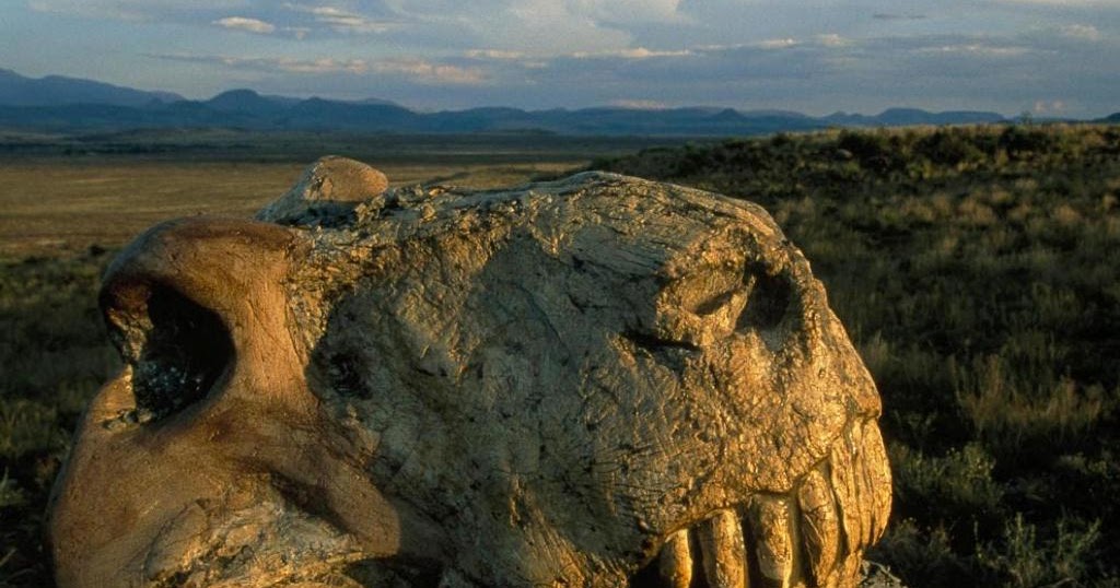 What Caused the World's Greatest Extinction? | Geology In