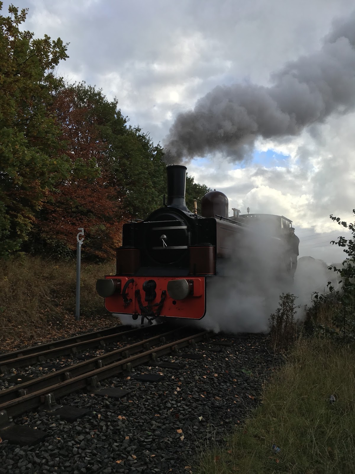 North Tyneside Steam Railway: Steam & Steel Pans