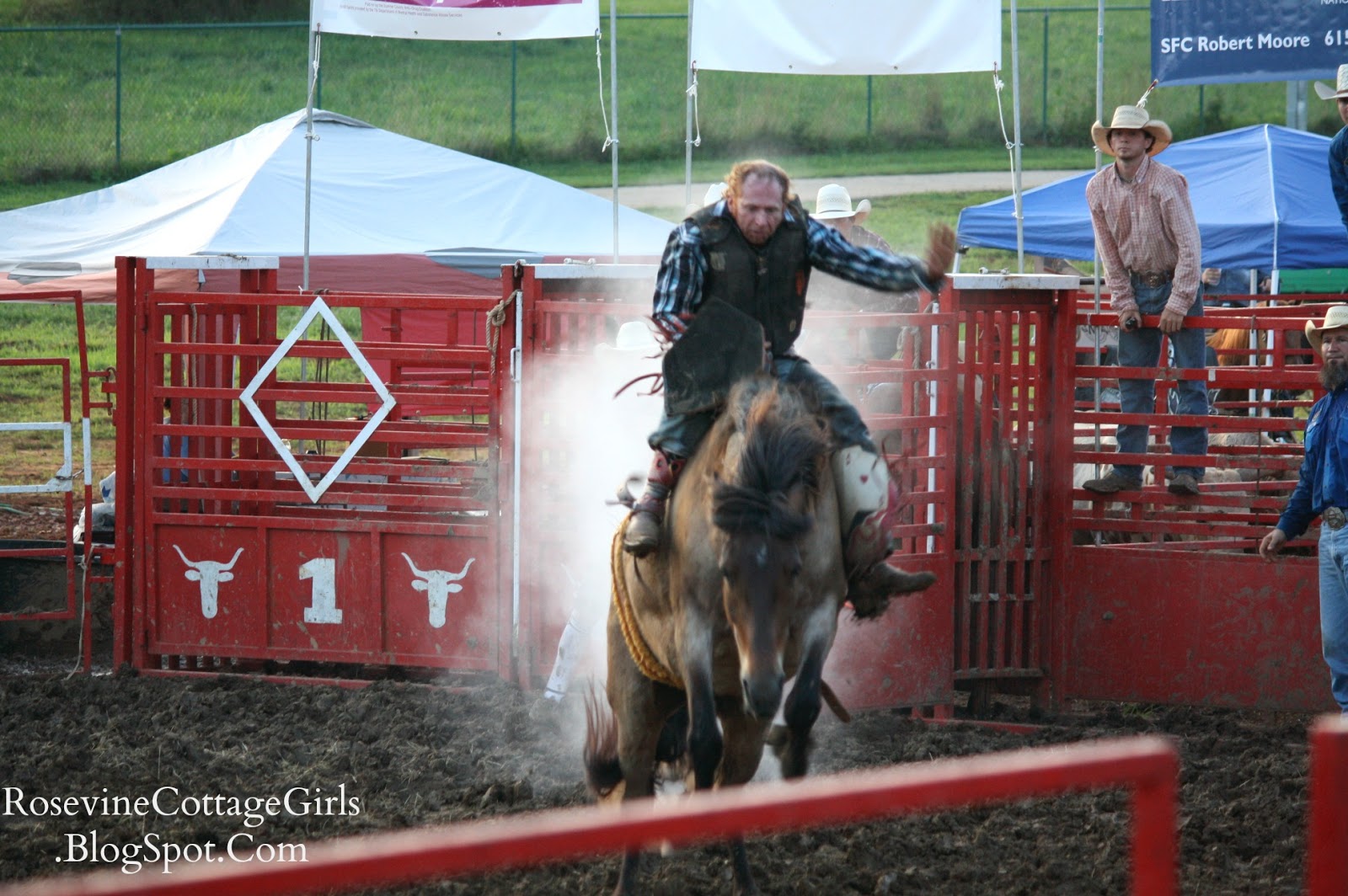 A Day At The Rodeo - Bold Enough Challenge