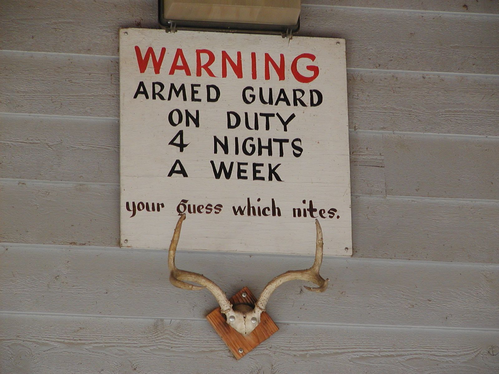 Blinged Out Hi-Point Safe Queen for Sale - The Truth About Guns