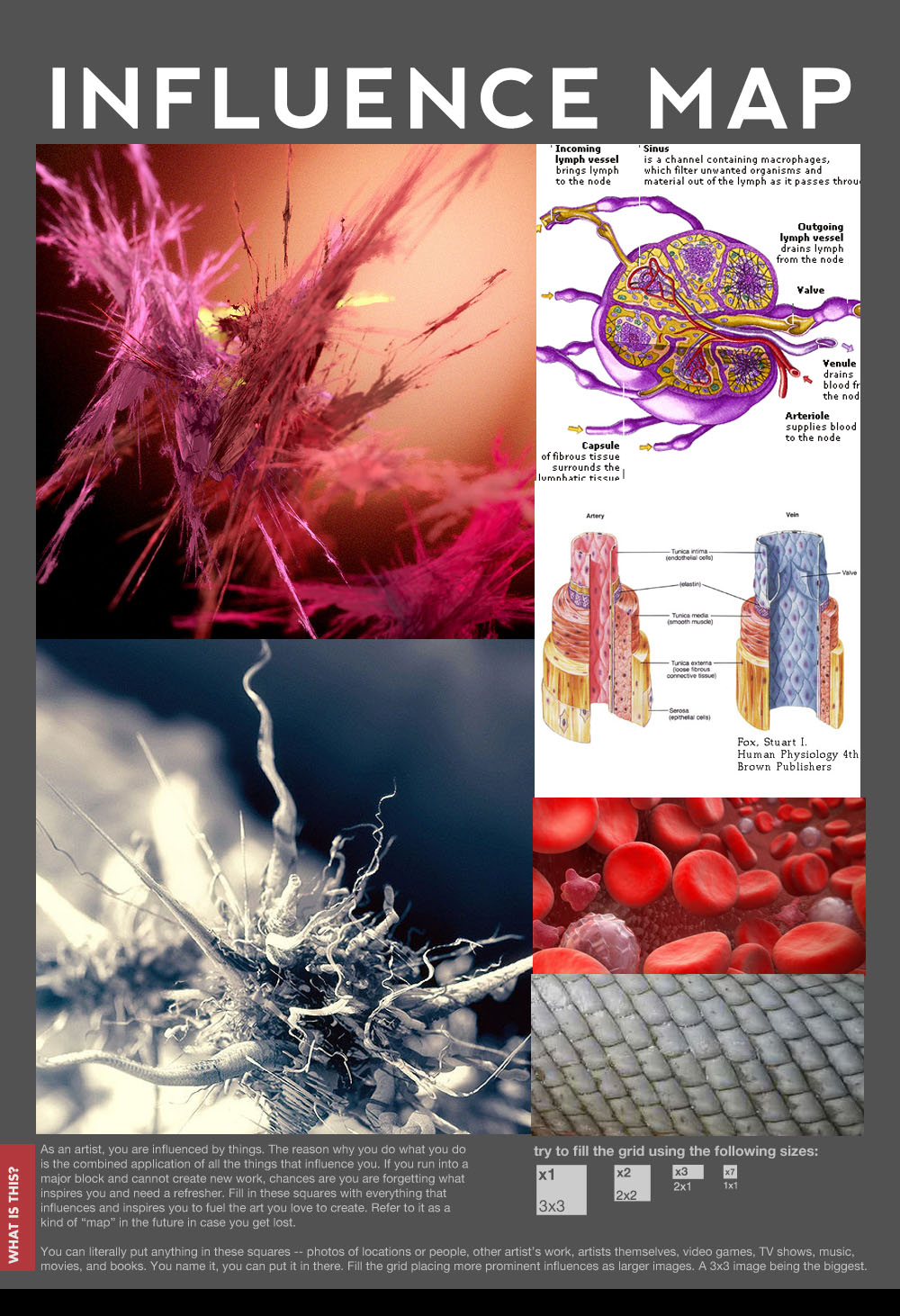 Katy J Negus. BA Hons. CG Arts & Animation: Defined Influence Maps