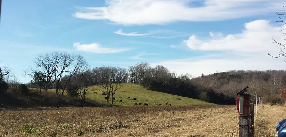 A Couple of Farmers At Maple Lawn Farm: Farm Photos
