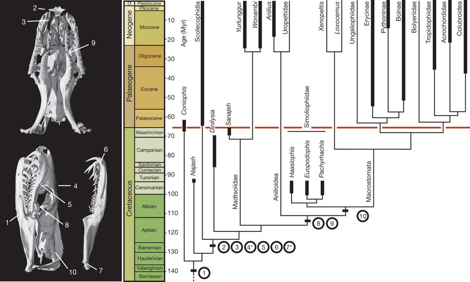 The Pondering Gulch: Et Tunc Nulla Erat V