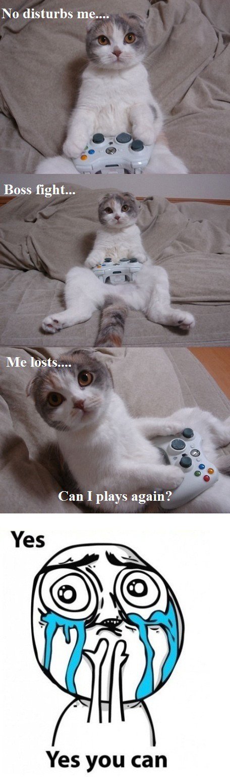 Just for fun pic: Cat Playing Video Game - Boss Fight