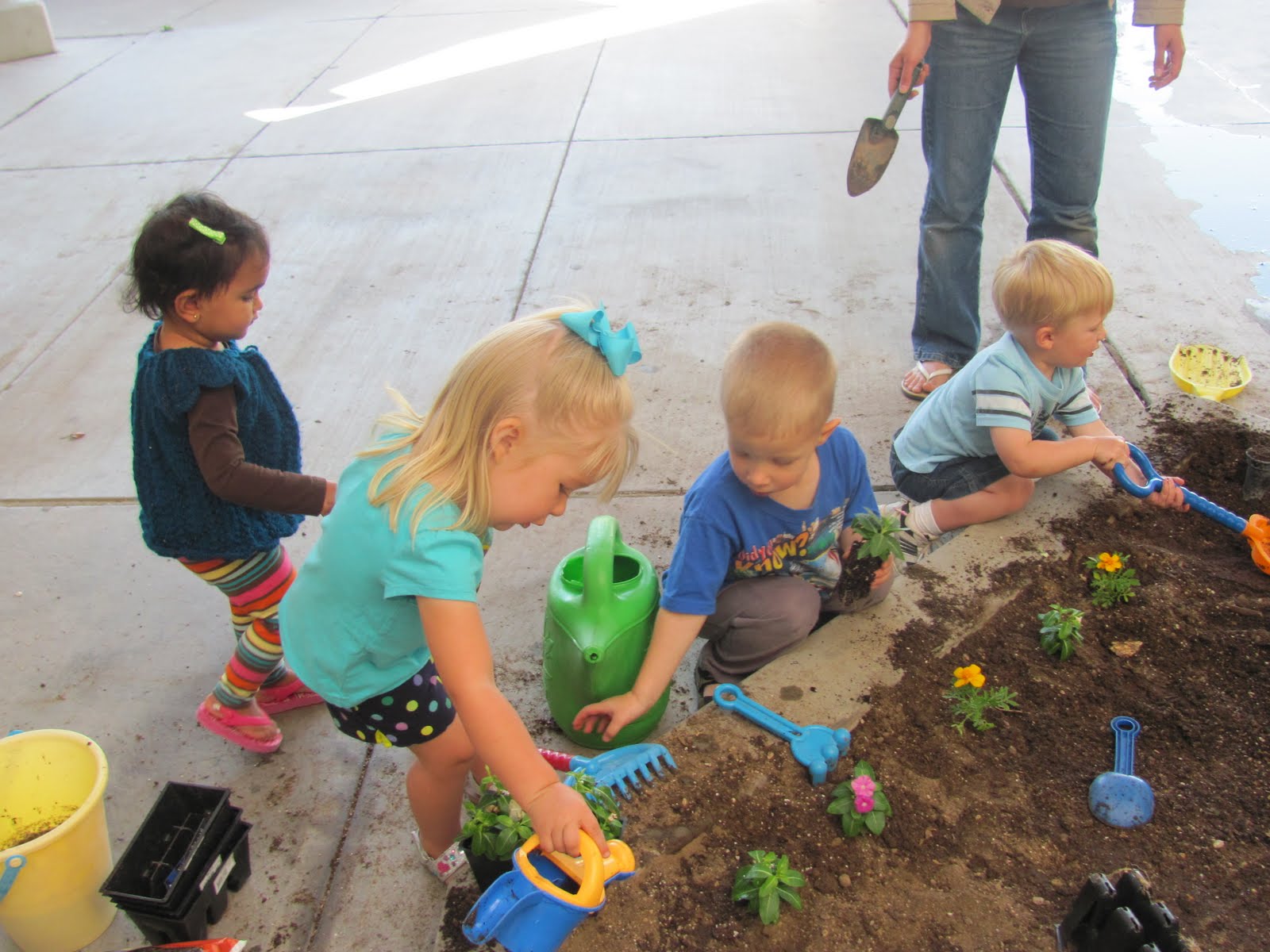 Haynes Family: Planting flowers at preschool