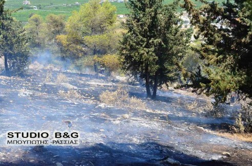 And again fire in Argos [photos] - Athens Times