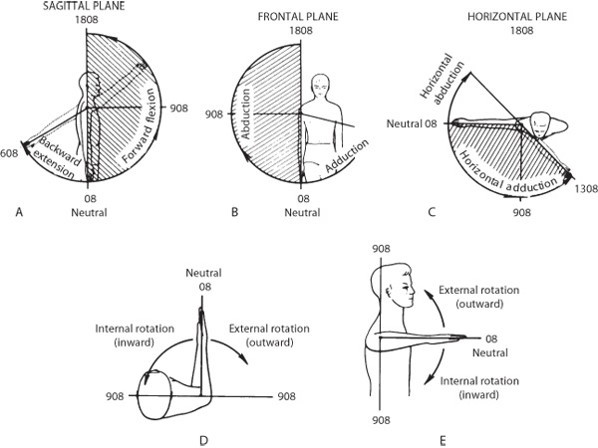 The Shoulder-Elbow Connection (rotations part 2) – POST COMPETITIVE INSIGHT