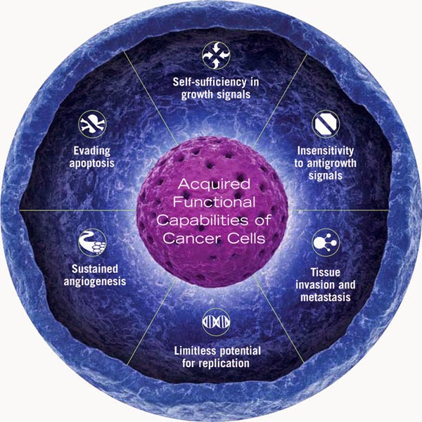 BASES MOLECULARES DEL CÁNCER: 3. BIOLOGÍA CELULAR DEL CÁNCER