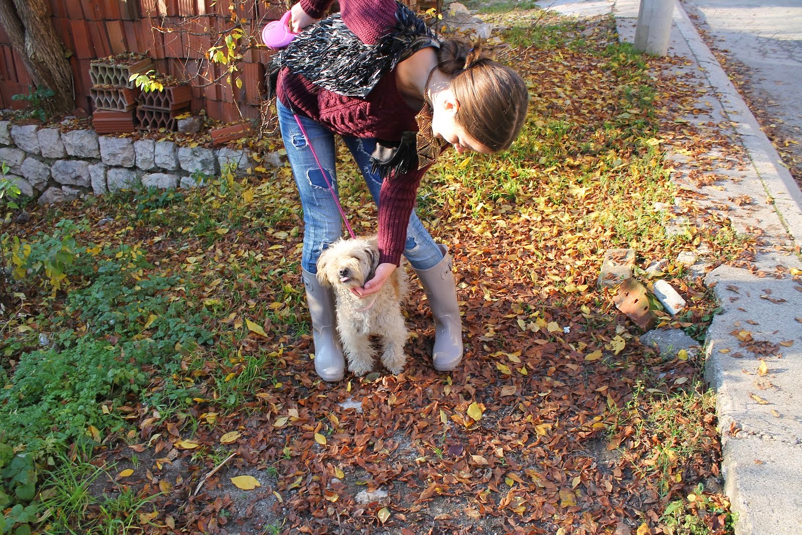 Madjarski ovčar – Pulin