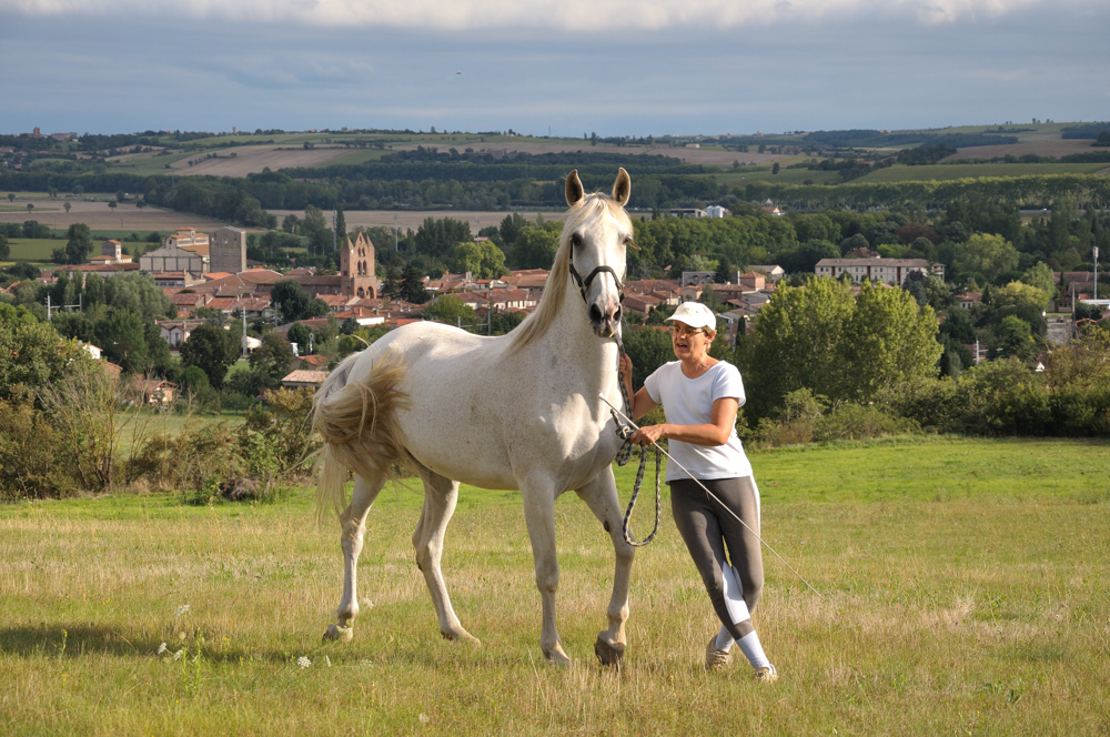 L'écho des Sabots: CAMBORIA AU MOIS D’AOUT