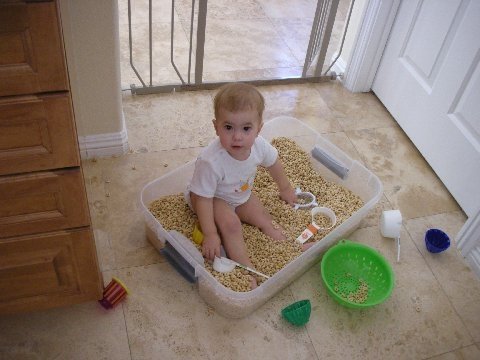 Homeschool and Light Tables: The Amazing Eebee