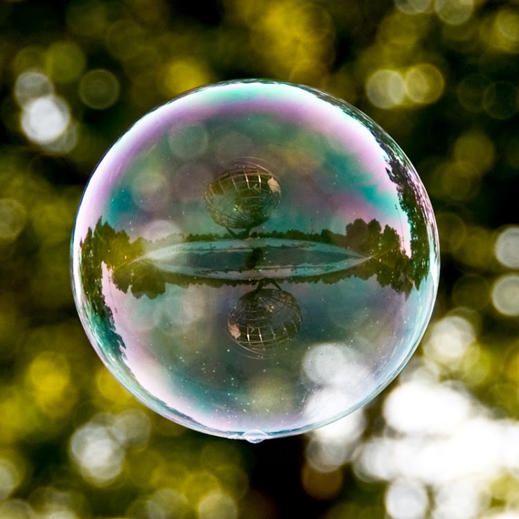 Wilderness: The world in a bubble