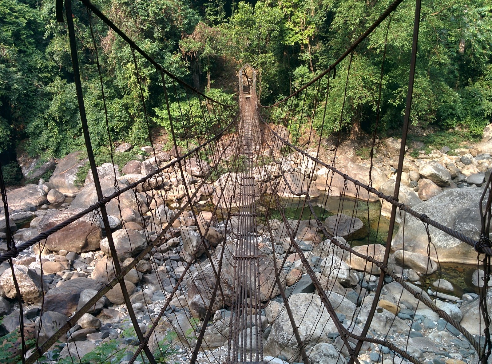 Road Less Travelled: Stunning Double Decker Living Root Bridge Photo Blog
