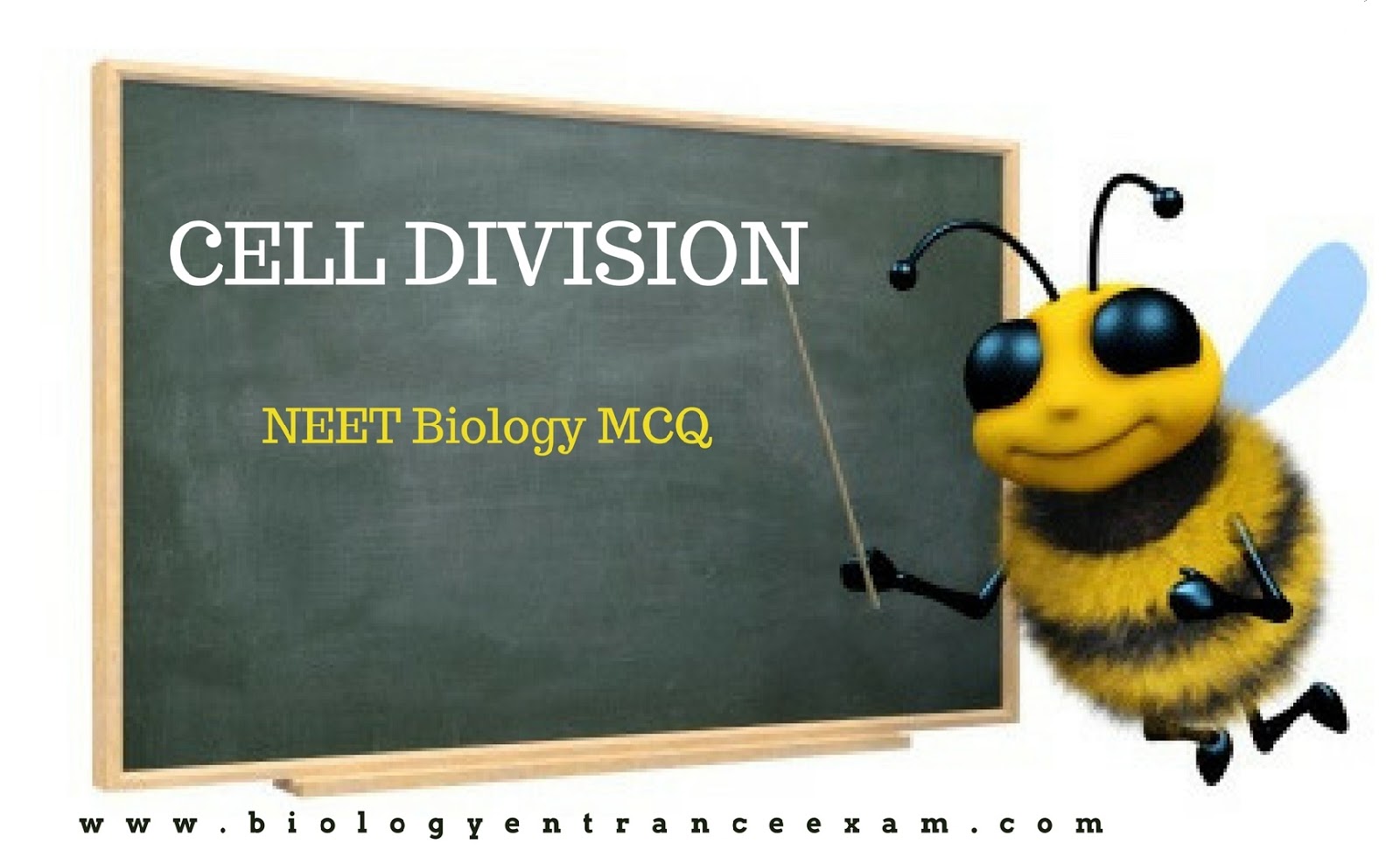 NEET Biology MCQ On Cell Division Or Cell Reproduction neet-biology-mcq-on-cell-division-or-cell-reproduction