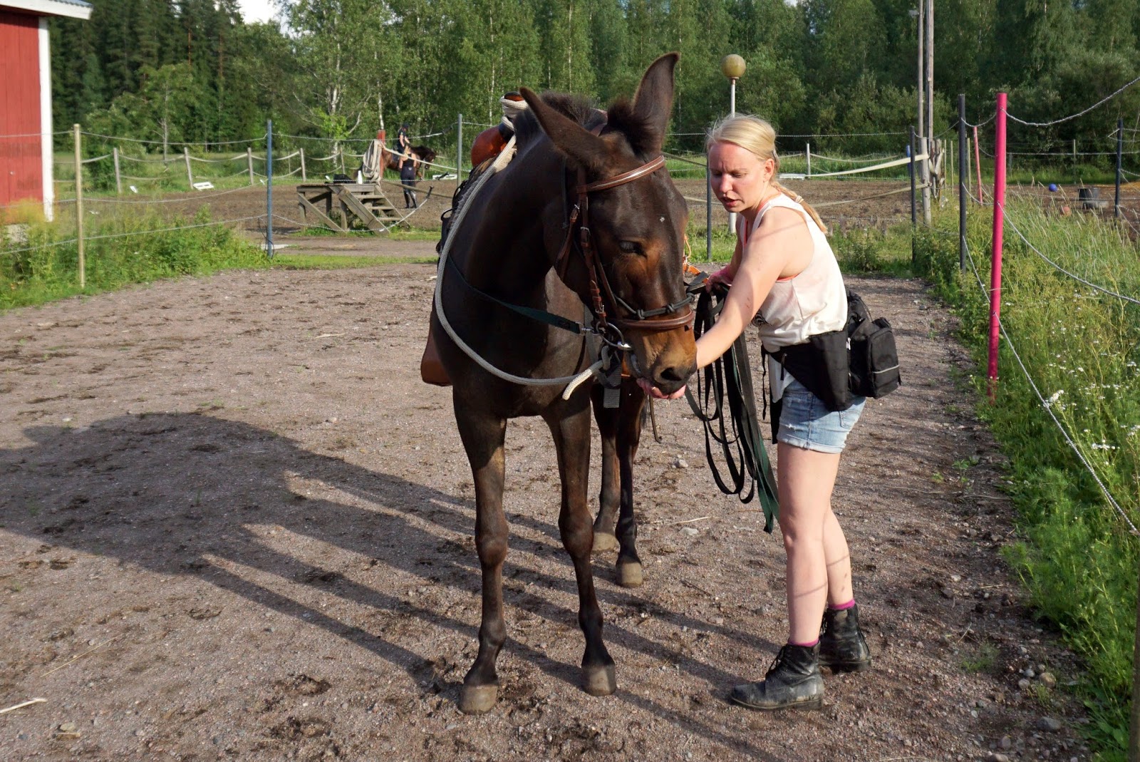 Muuliprojekti: kesäkuuta 2016