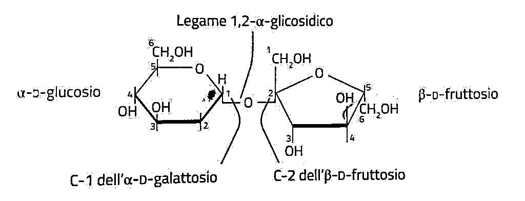 DISACCARIDI, OLIGOSACCARIDI e POLISACCARIDI