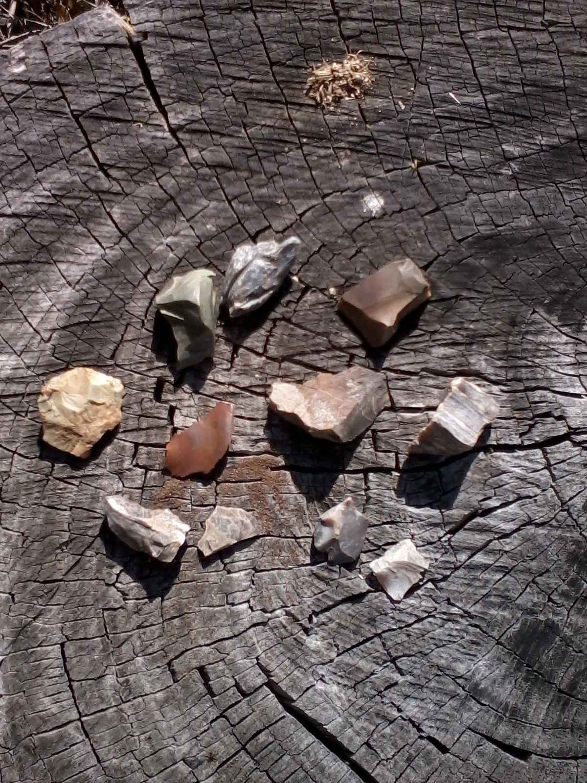 Goblin Ranger: Walking in the steps of the Ancient Ones