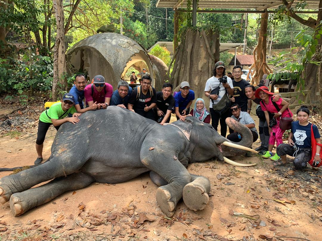 Aktiviti Menarik Yang Boleh Dilakukan Di Perkampungan Konservasi Gajah ...