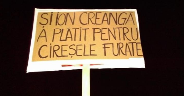6 zile de protest - Cele mai amuzante pancarte din piata