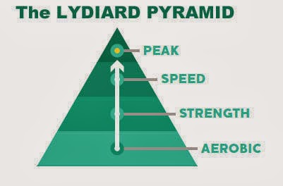 running commentary?: Arches: a new conceptual model for running