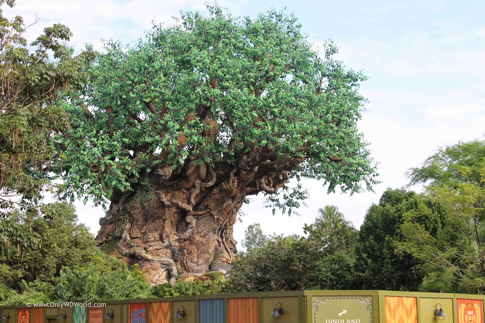 A Closer Look At The Tree Of Life at Disney's Animal Kingdom | Disney ...