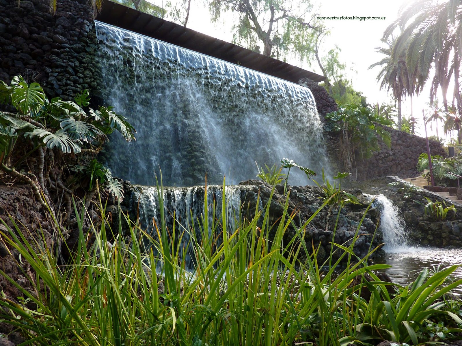 NUESTRAS FOTOS: PARQUE TAORO I