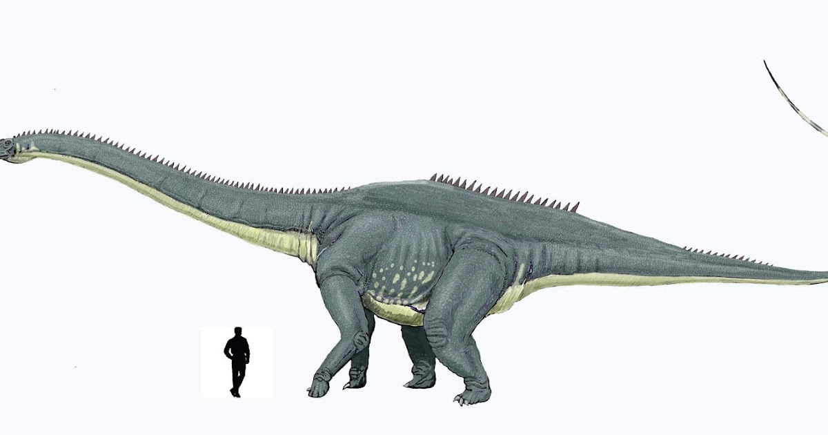 Dino datos