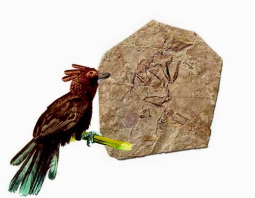 welcome [mbohweslali.blogspot.com]