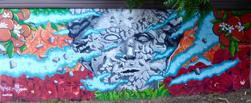 Pittsburgh Murals and Public Art: A Park full of Murals by Jeremy Raymer