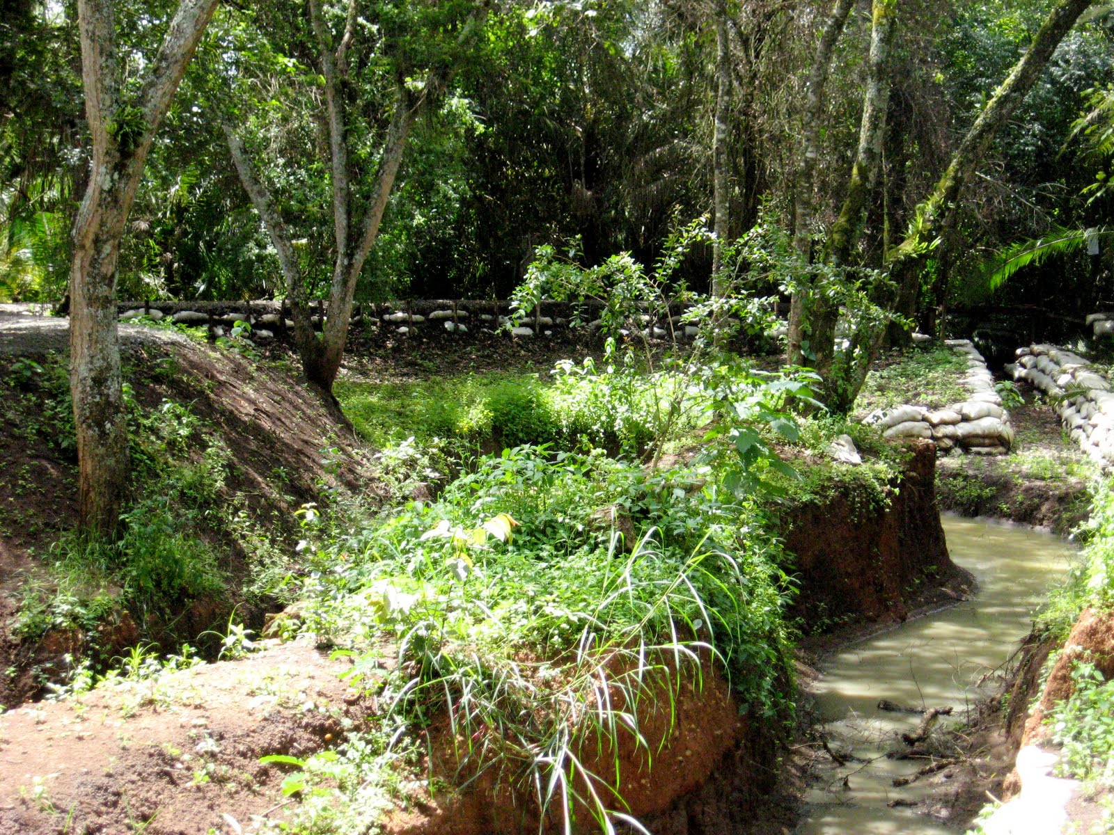 Kenya IUPUI 2011: Kitale Conservancy: Kitale, Kenya