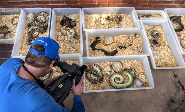 Four legged friends (and enemies): School Teacher Convicted of Animal ...