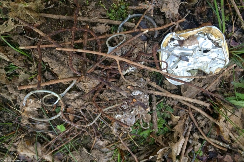 Diaries of a Wildlife and Outdoors lover: Magpies nest and his loot of ...