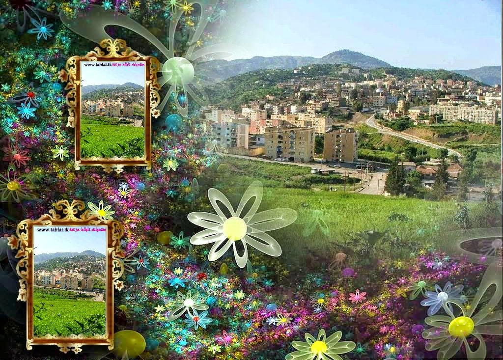 safarifun: Tablat City