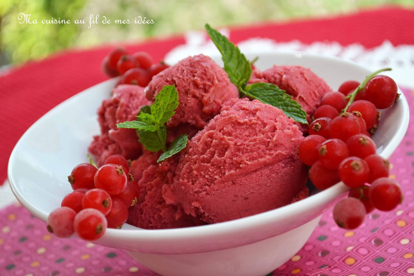 Ma cuisine au fil de mes idées...: Sorbet aux groseilles rouges ...