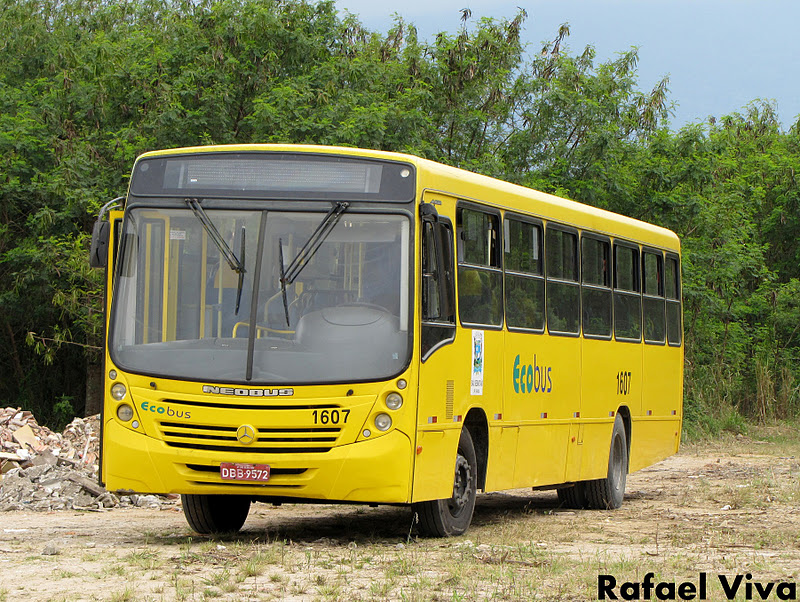 LITORALBUS 8: Ecobus