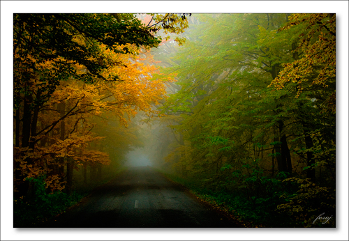 School Of Digital Photography: Landscape Photography and The Mysteries ...