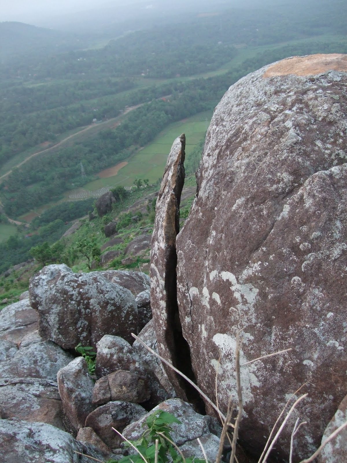 Exploring South India - Travel blog.....: ANANGANMALA (ECO TOURISM PROJECT)